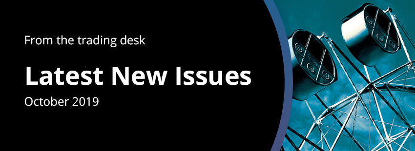 New bond issues – how to choose from a panoply of riches